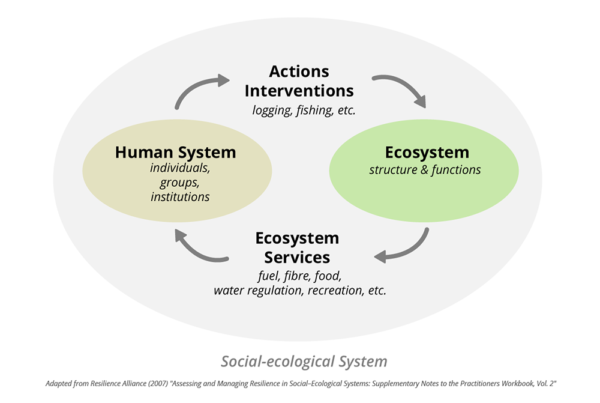 Social-ecological systems - SARAS Institute